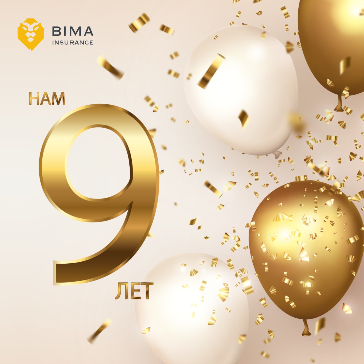 BIMA - the Insurance Company